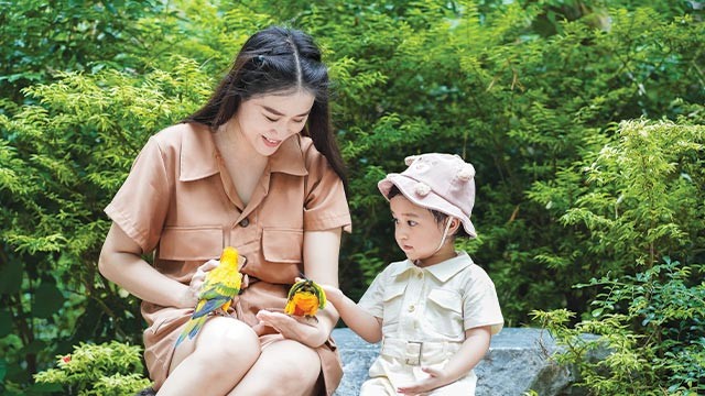 keseimbangan ekologis dalaam perspektif Hindu » Hindu Channel